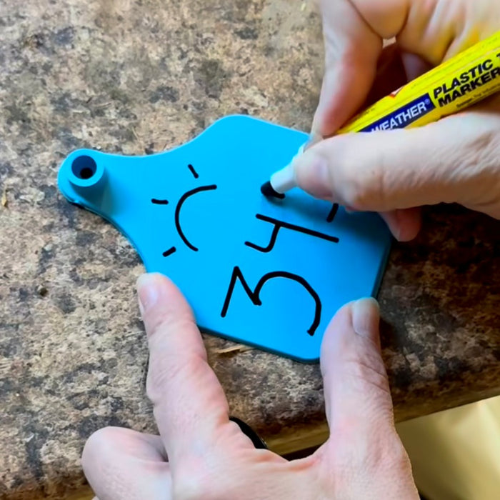 Write-On Small Tags for Sheep, Goats, Equipment & More | Ritchey Tags