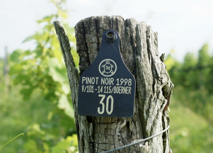 Vineyard Tags | Orchard Tags | Ritchey Tags