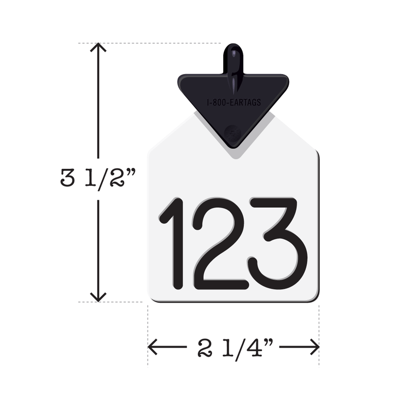 Curved Arrowhead Dual Colored Medium Cow Tag