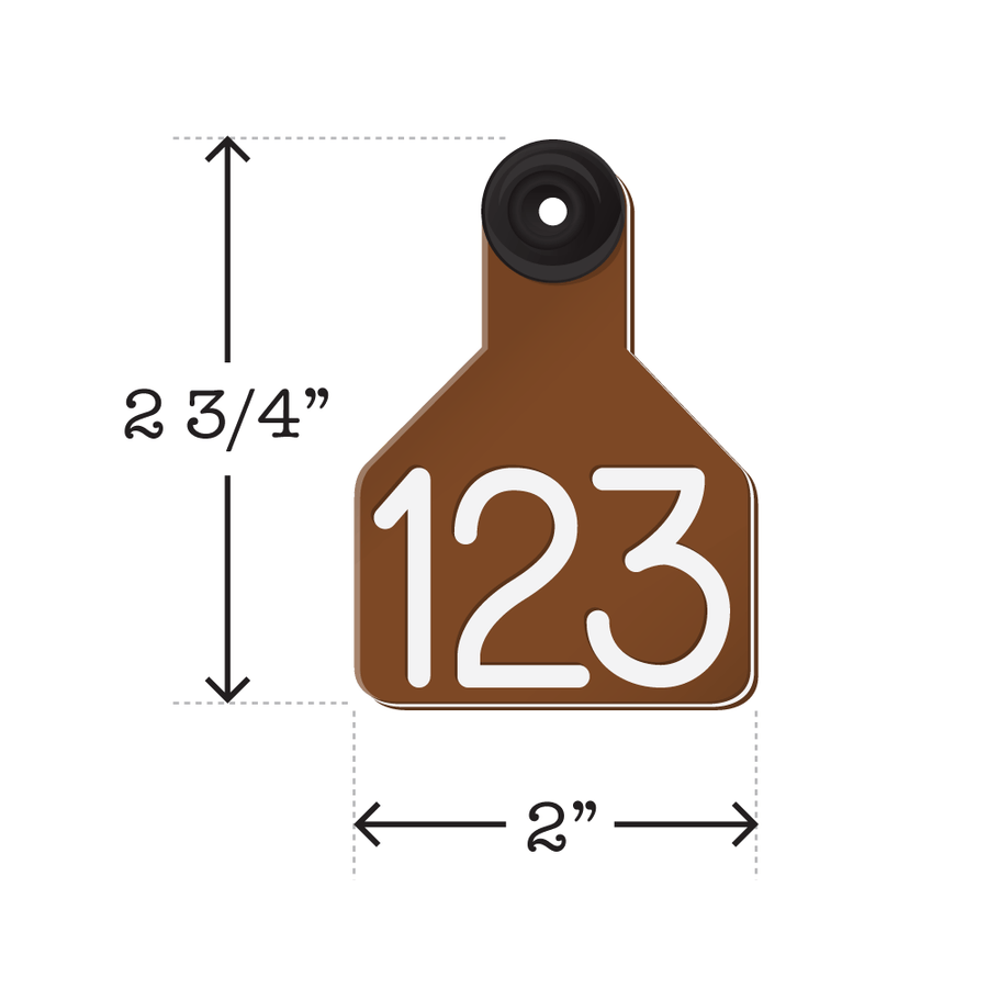 Engravable Small ID Tag that Never Fades | Ritchey Tags