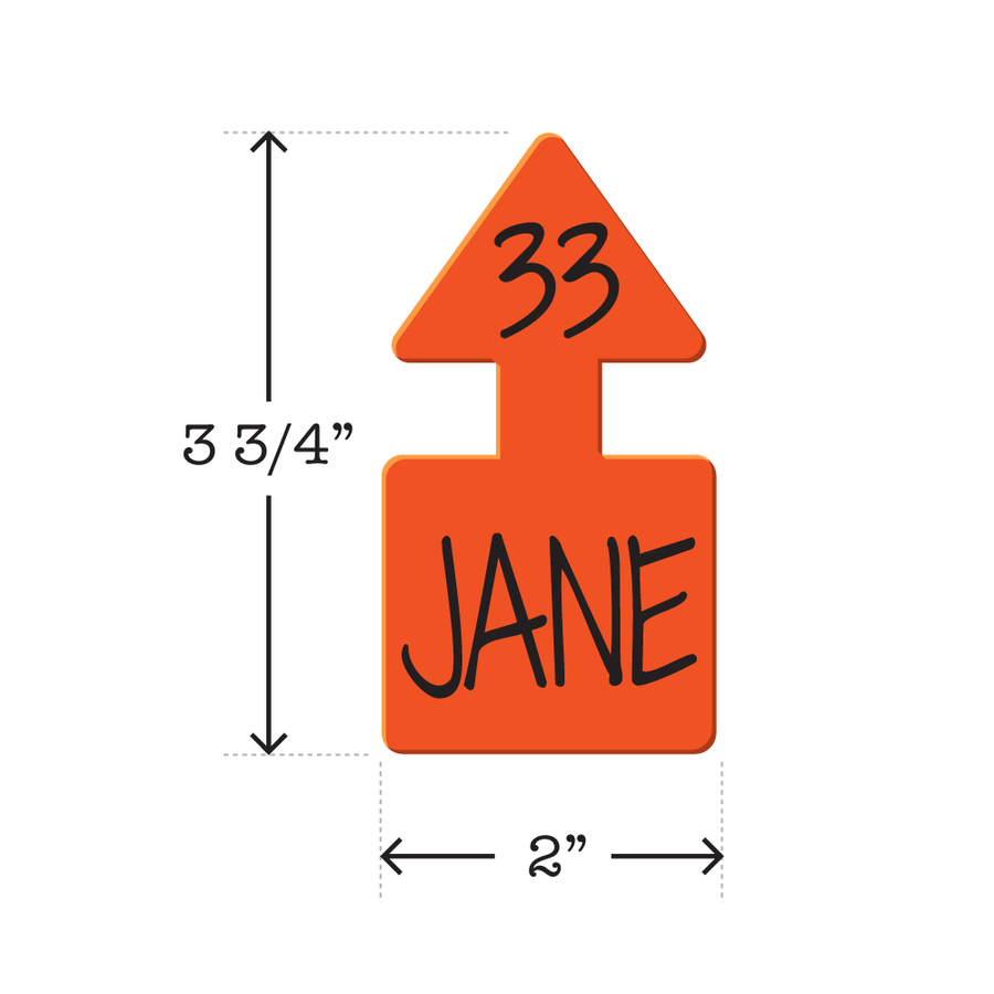 Flat Arrowhead Dual Colored Tags