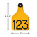 Engravable Large Cow Tag that Never Fades | Ritchey Tags