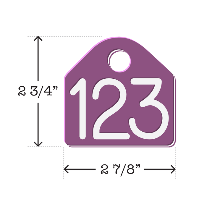 Neck Chain Dual Colored Tag | Ritchey Tags