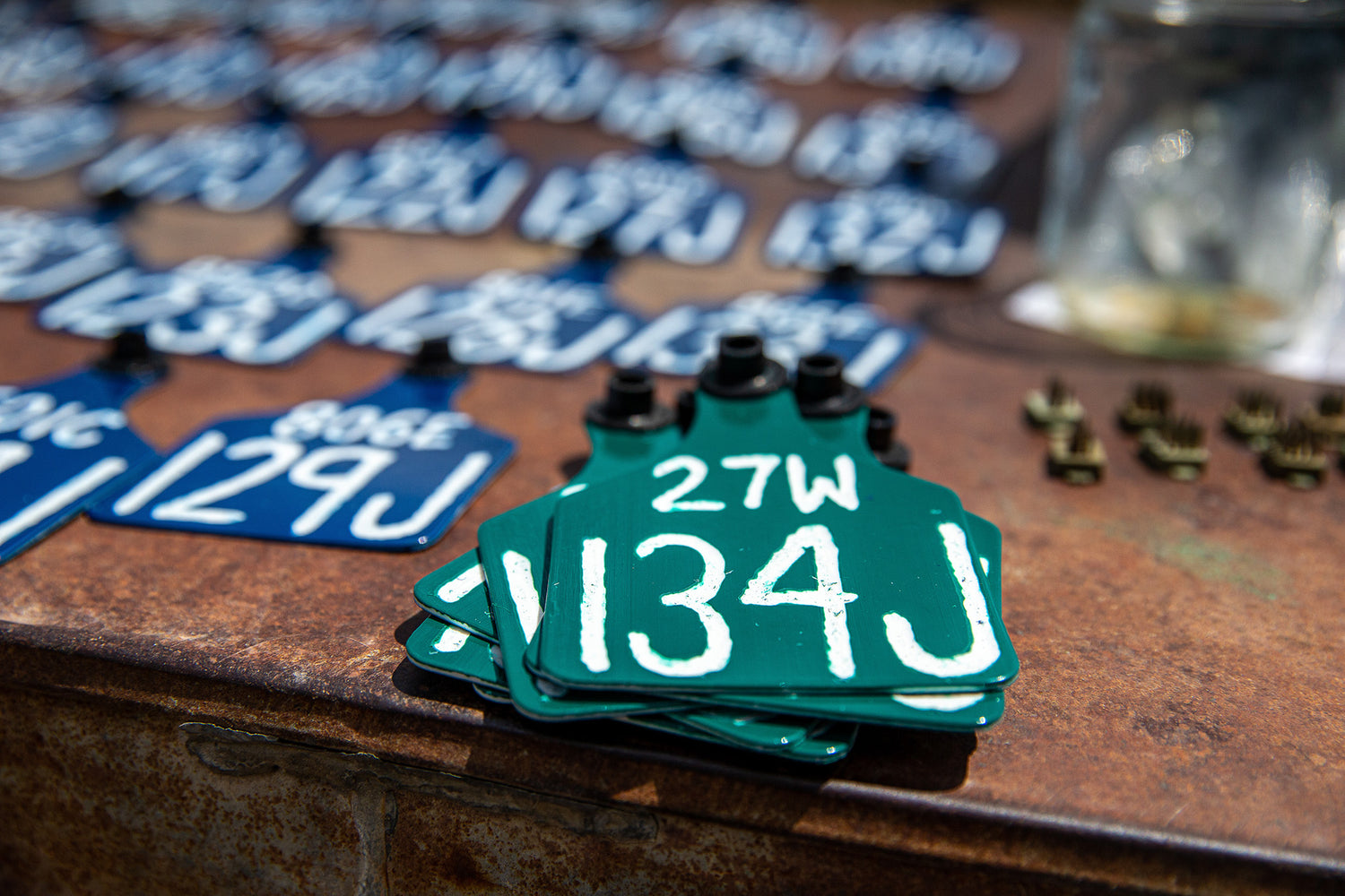 Engravable Large Cow Tag that Never Fades | Ritchey Tags